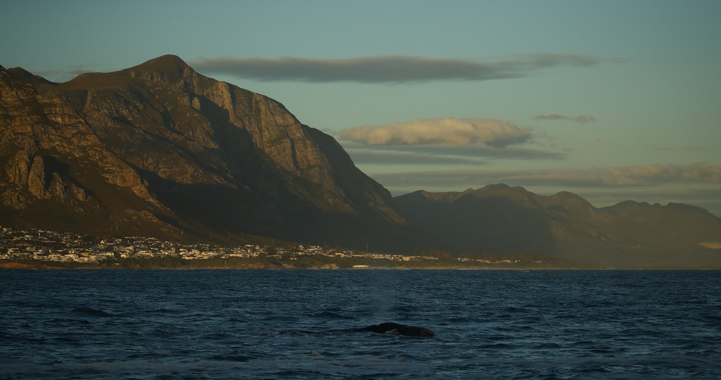 Bernardus – Hermanus & Transfers – Shuttle Service Too and From Hermanus